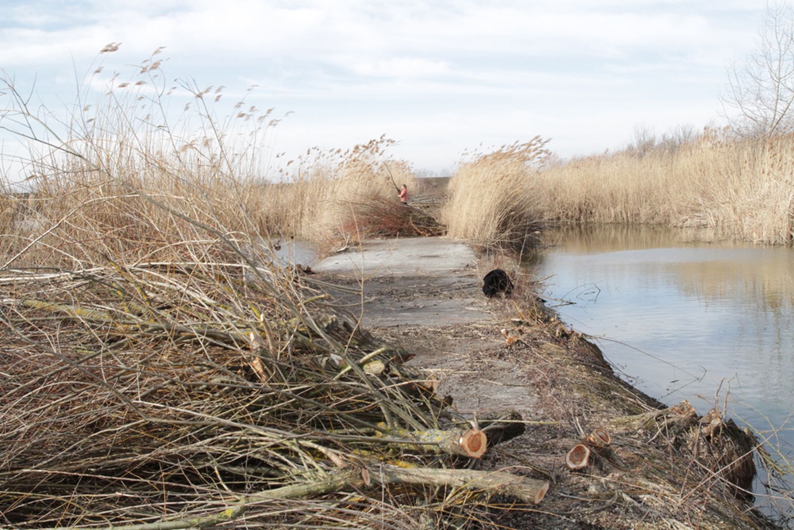 Rückblick - Berichte - Auring